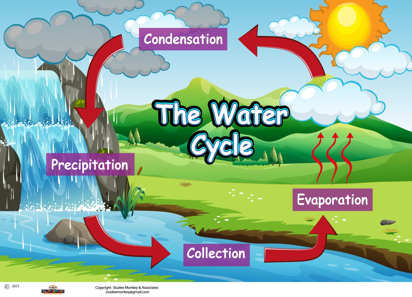 The Water Cycle [Charts, Posters Or Teaching Aids] Attractive: Size: 18 ...