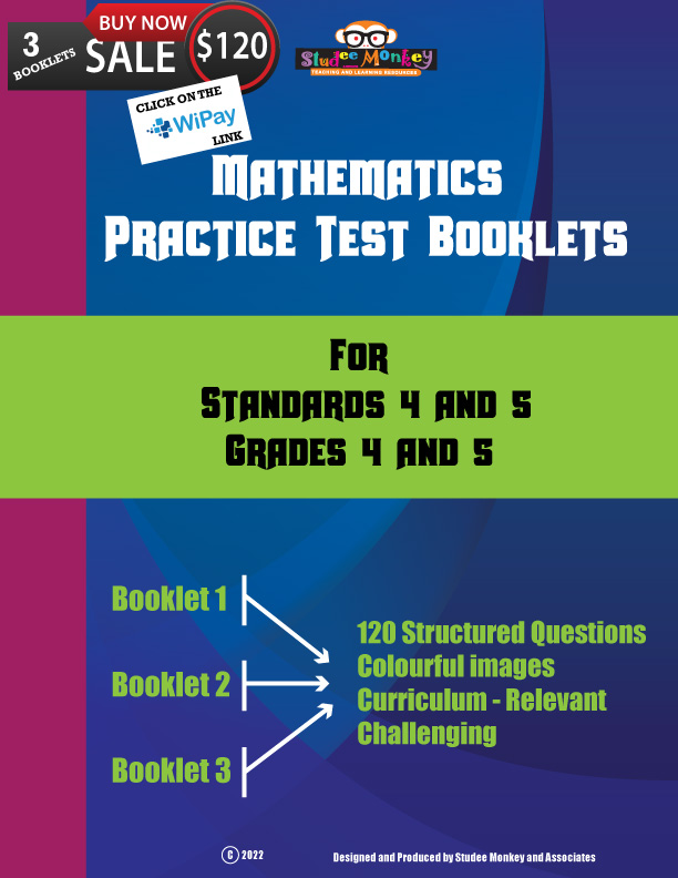 SEA Mathematics Practice Test Booklet - Studeemonkey